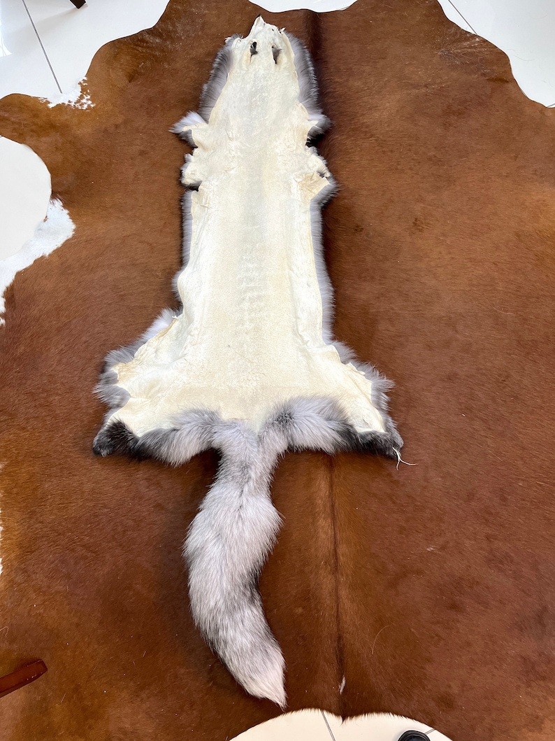 Real Fox Fur Pelt Frost Fox Pelt Real Fox Pelt DIY Fur | Etsy