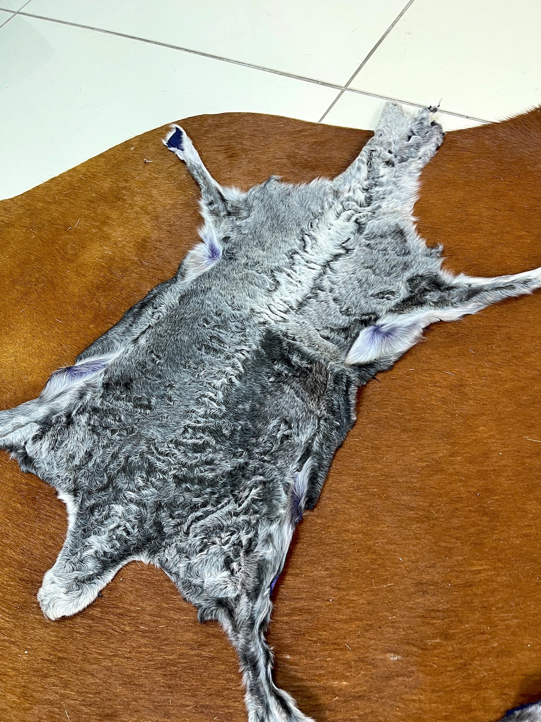 Grey Astrakhan Karakul Pelt, Genuine 100% Astrakhan, Real Karakul Fur ...