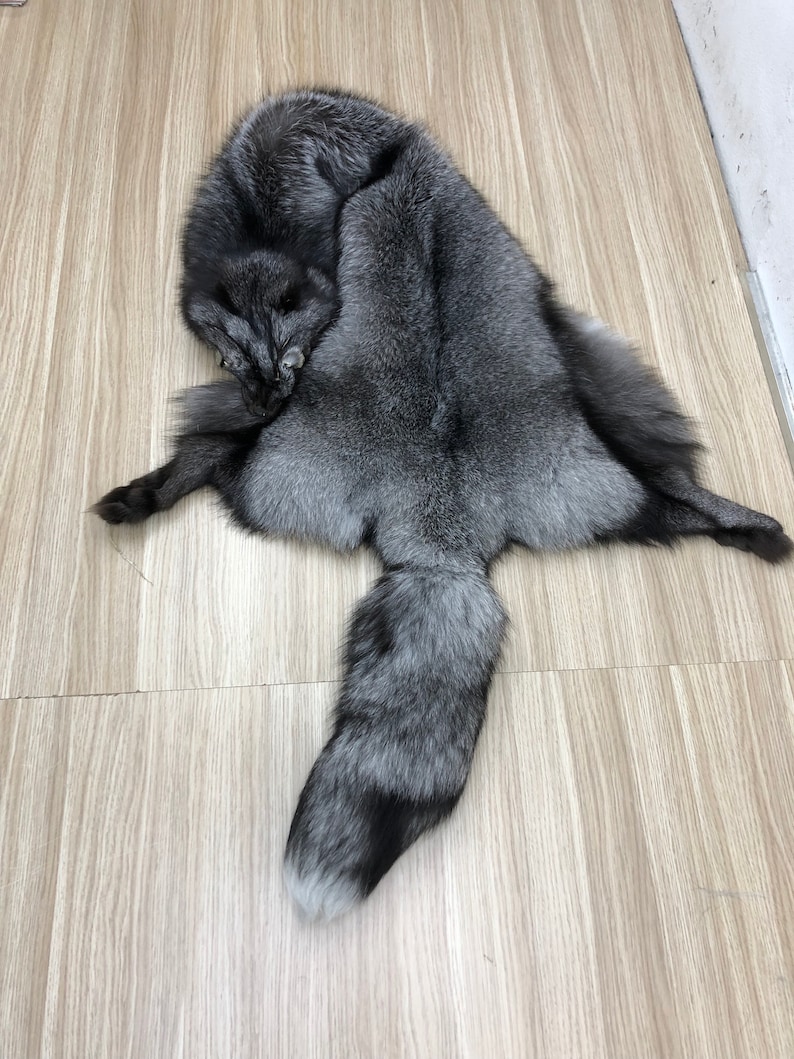 Frost Fox Fur Pelt Hide Skin Tanned Fox Fur Extra Extra BIG - Etsy