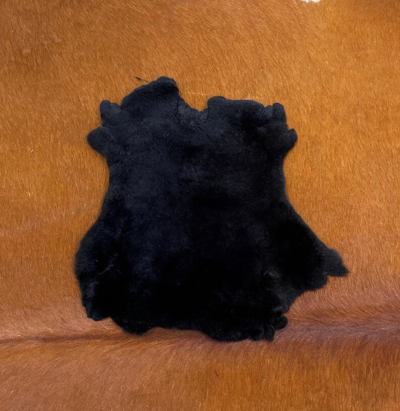 Black Rabbit Pelt Rabbit Pelt Soft Luxury REX Pelt Real - Etsy