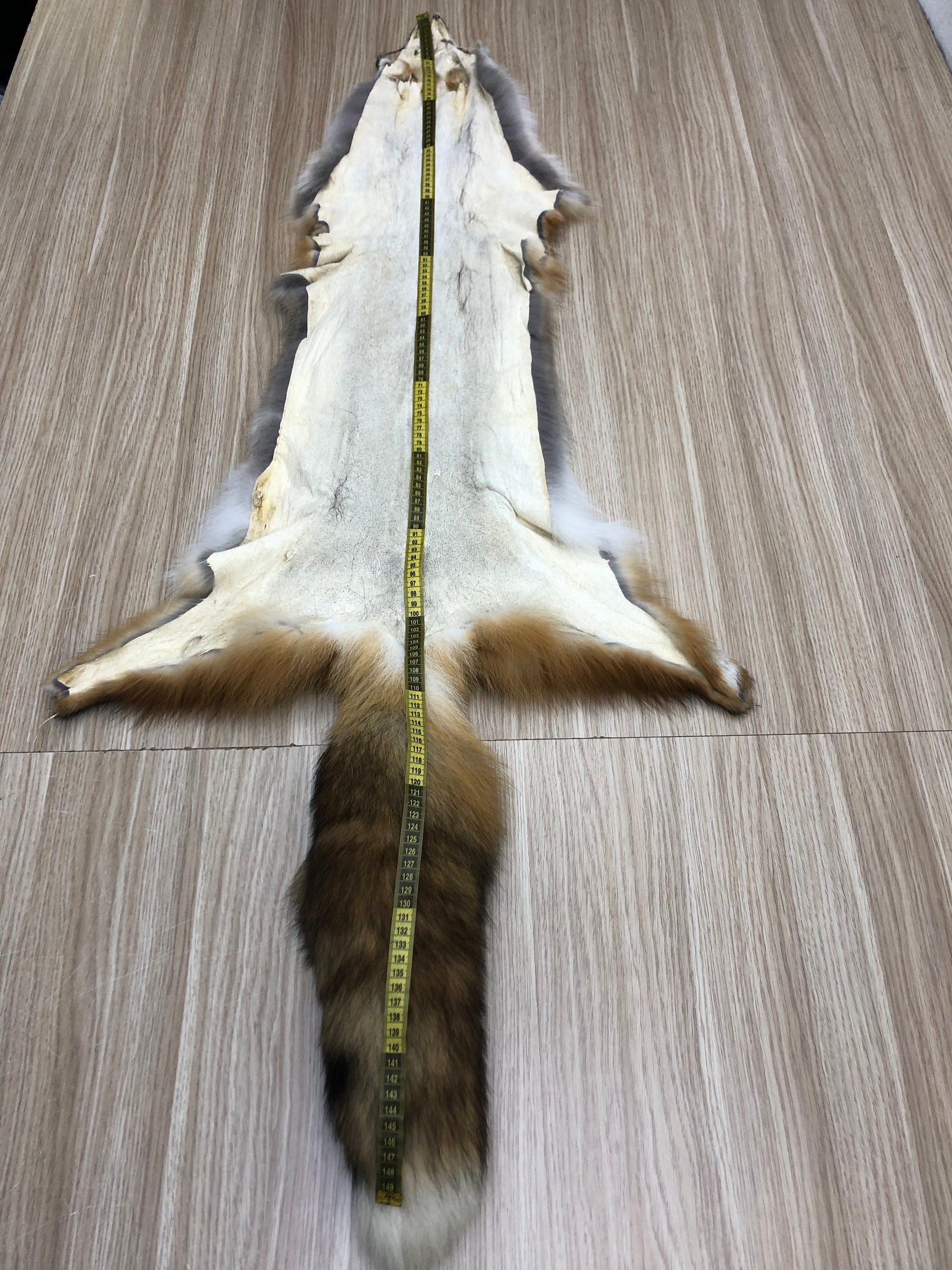 Real Luxury Fox Pelt , Red Fox Pelt ,genuine Fox Pelt , 100% Red Fox ...