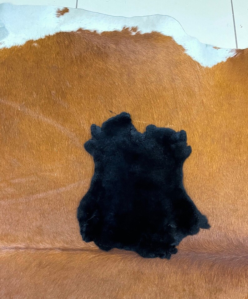 Black Rabbit Pelt Rabbit Pelt Soft Luxury REX Pelt Real - Etsy