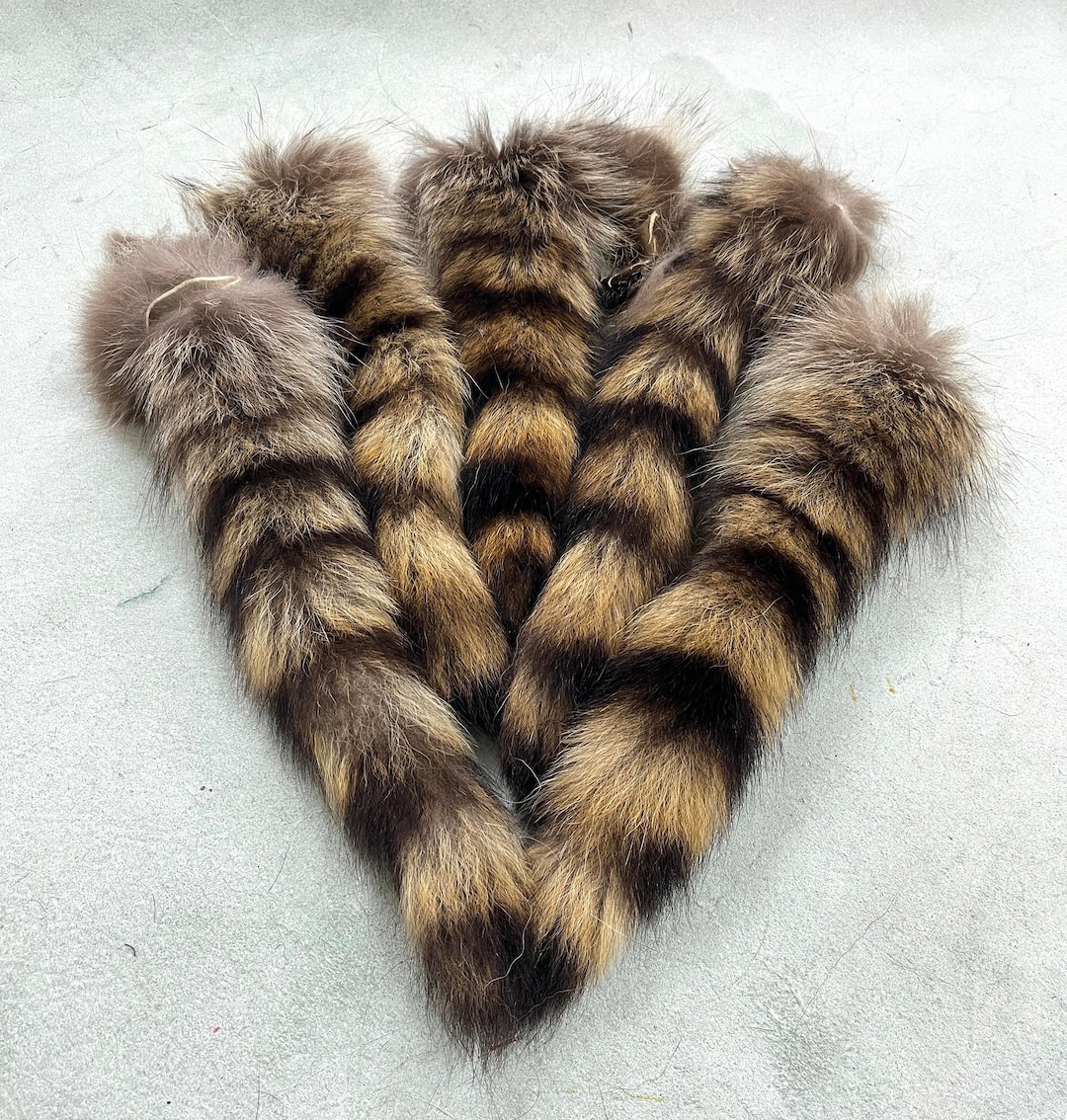 Raccoon Tails, Natural Raccoon Fur, Black Raccoon Tails, Striped ...