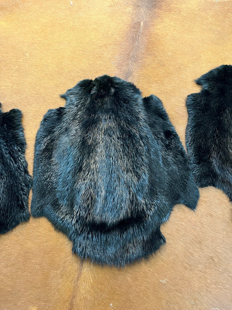 Tanned Beaver Fur Pelt, FREE SHIPPING, Natural and Black Dyed Beaver ...