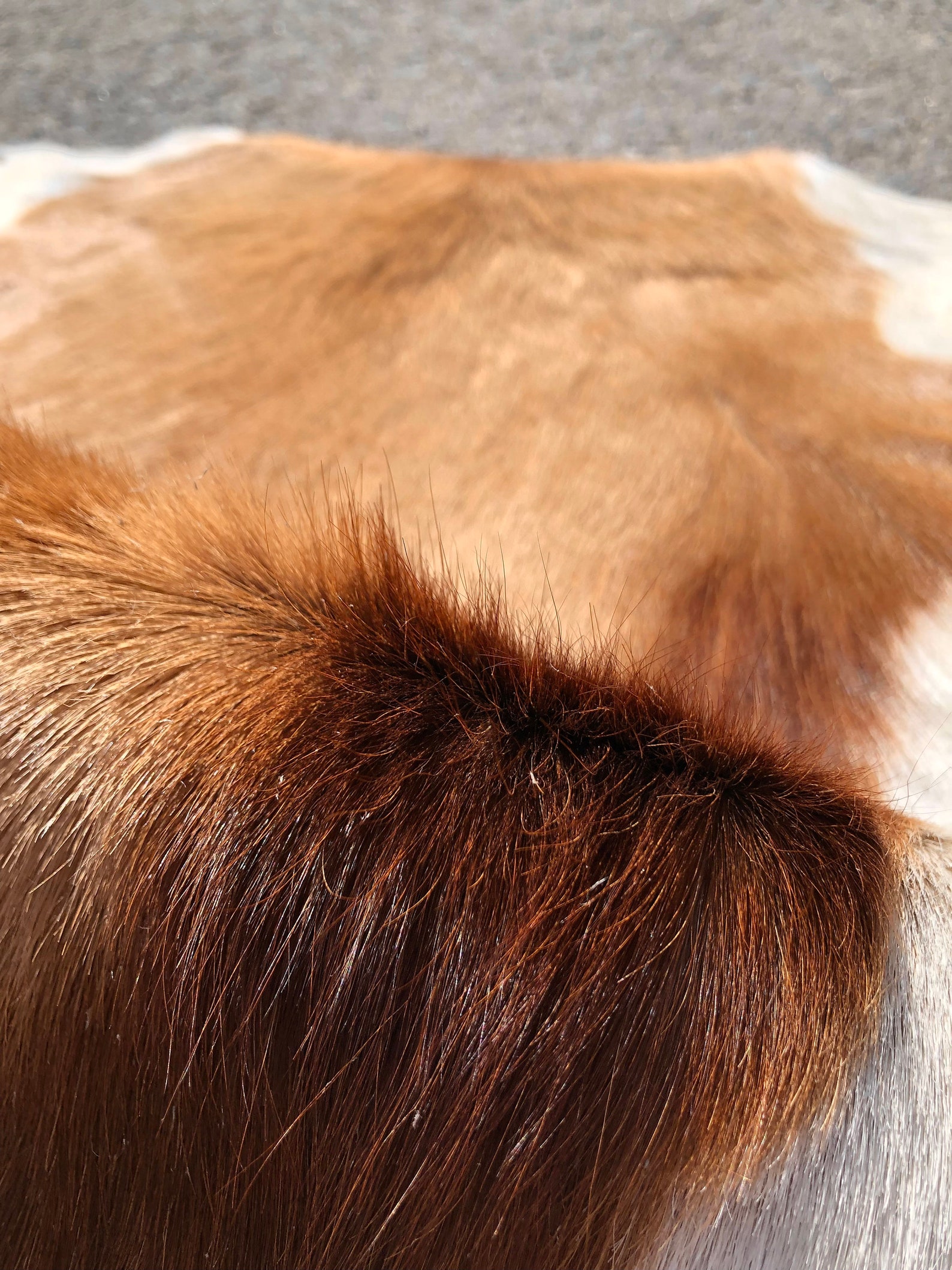 100% Deer Skin Natural Deer Skin Genuine Deerskin Deer Pelt | Etsy