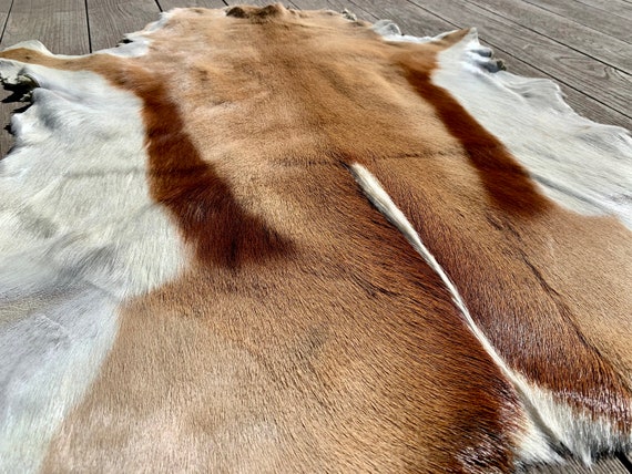 Tanned Springbok Skin Genuine Large Size Antelope Skin | Etsy