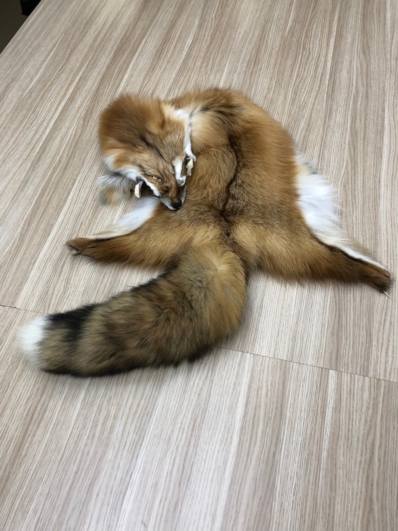 Real Luxury Fox Pelt Red Fox Pelt genuine Fox Pelt 100% - Etsy UK