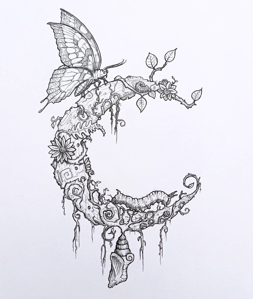 Metamorphosis | A4 Print, Caterpillar Art Design, Butterflies ...