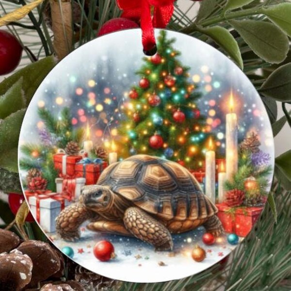 Tortoise Gifts - 60+ Gift Ideas for 2025