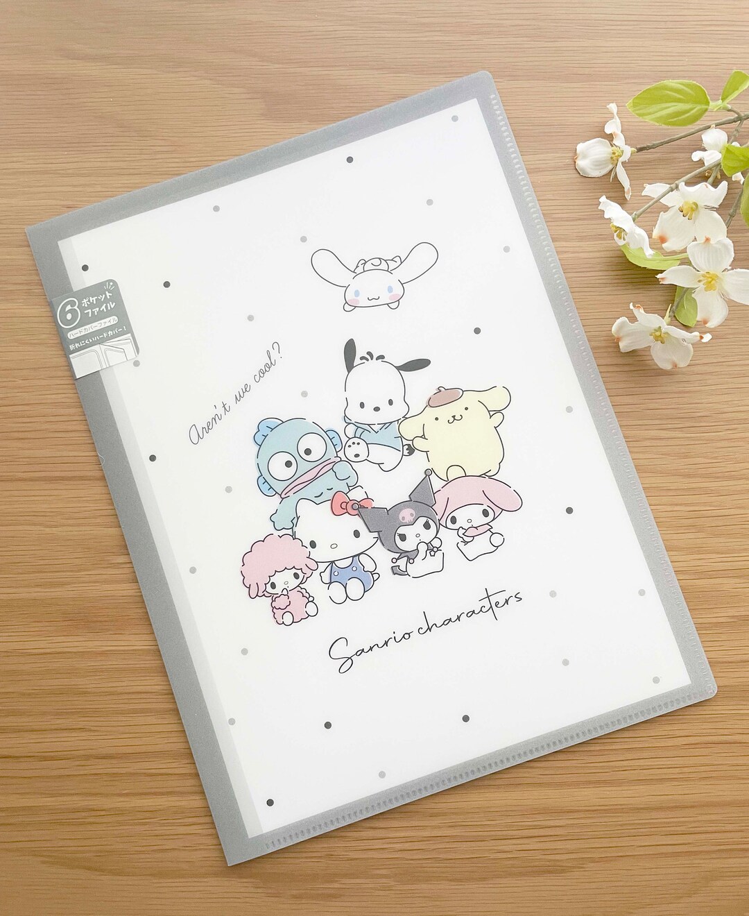 A4 - 6 Pocket Document Plastic File Folder - Friends and Dots - Etsy