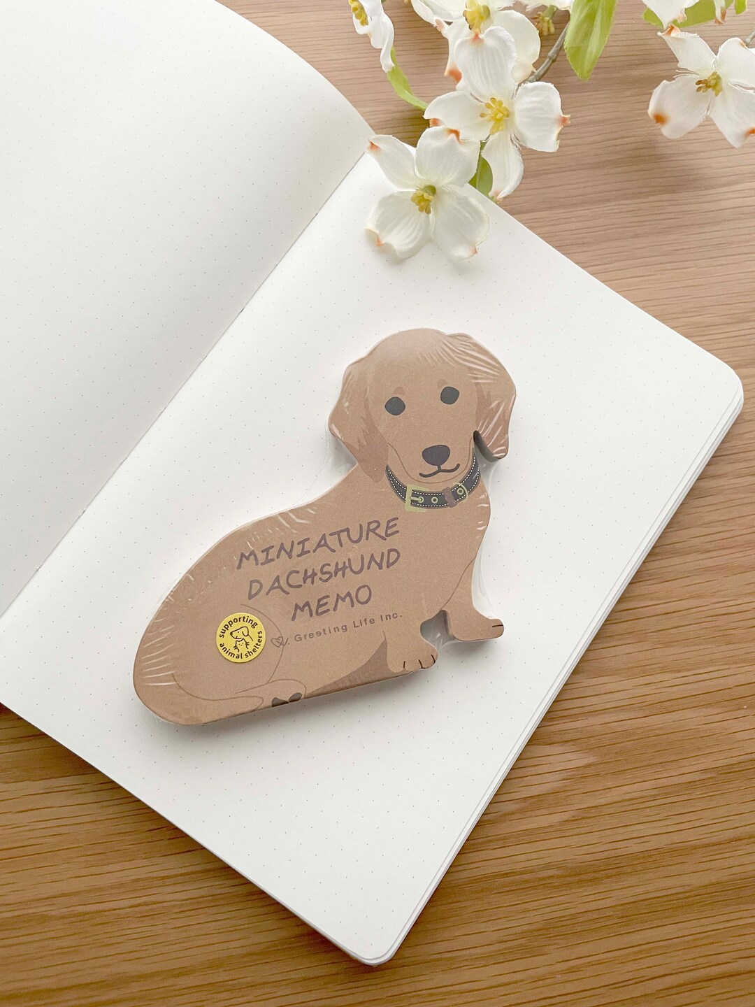 Die-cut Dog Memo Pad - Miniature Dachshund Dog - 5 Designs - 1 Pc - Etsy