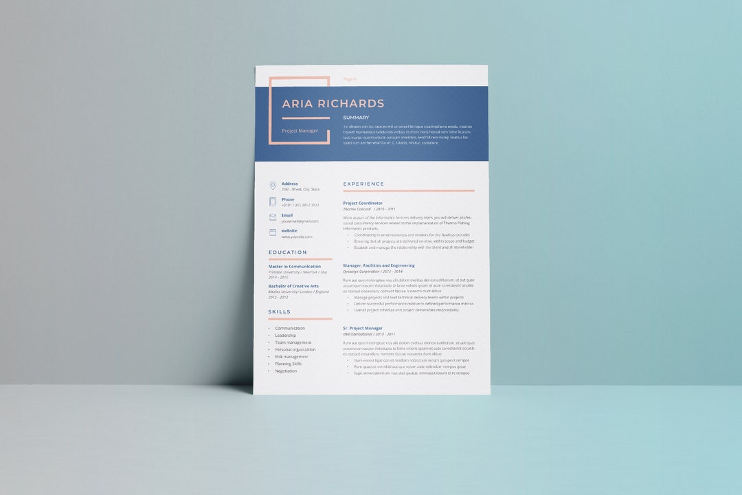 Docx CV - Professional Resume Template in Word | Instant Download CV ...