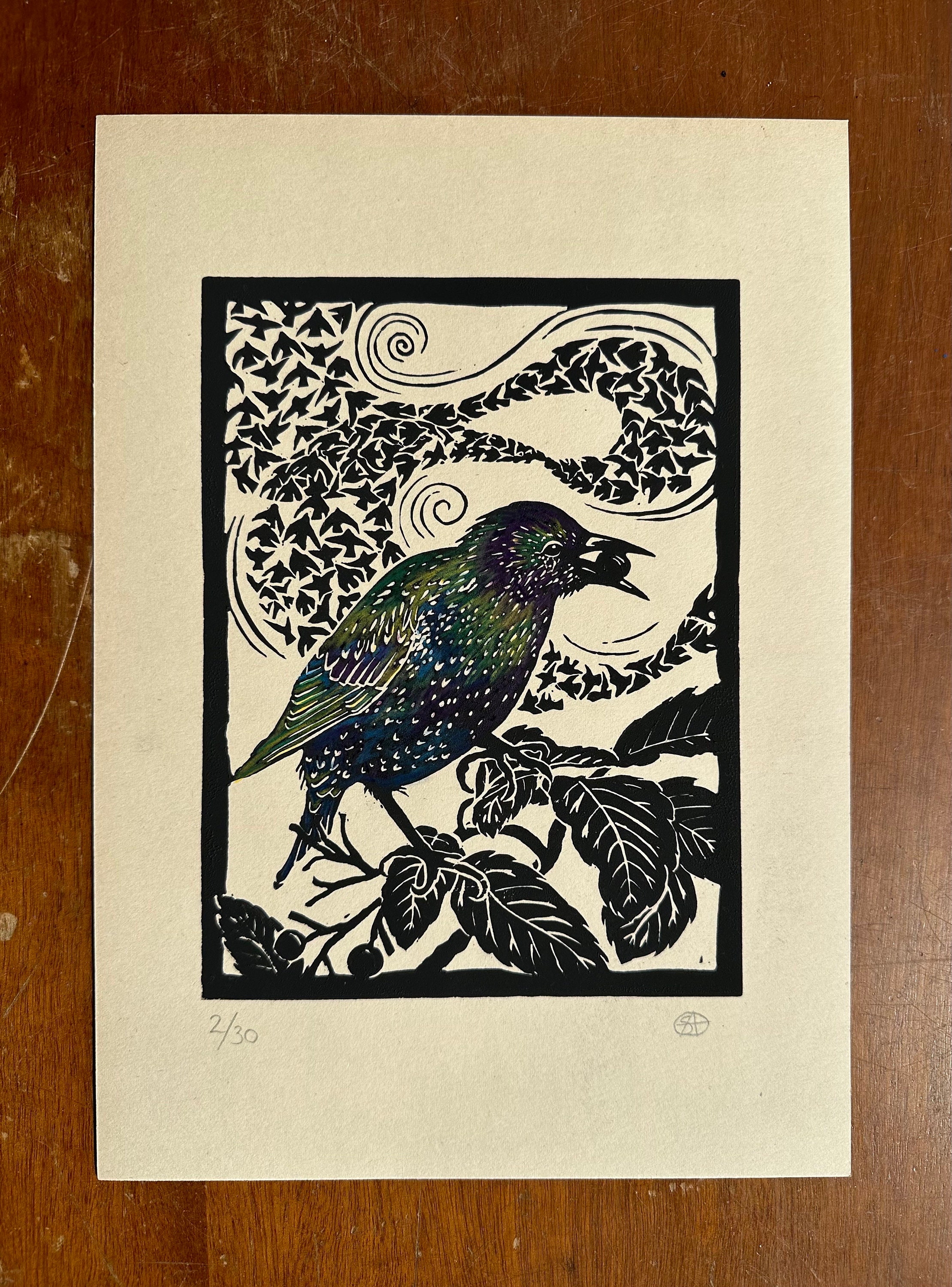 Starling Lino Print A4 Lino Cut Bird Murmuration Print - Etsy
