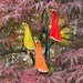 Set of Three Handmade Ceramic Garden Cane Toppers - Etsy UK