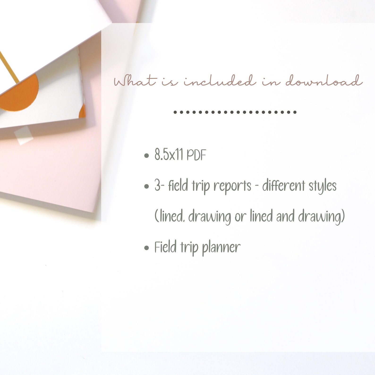 Field Trip Report Log Printable, Homeschool Field Trip Planner, Field ...