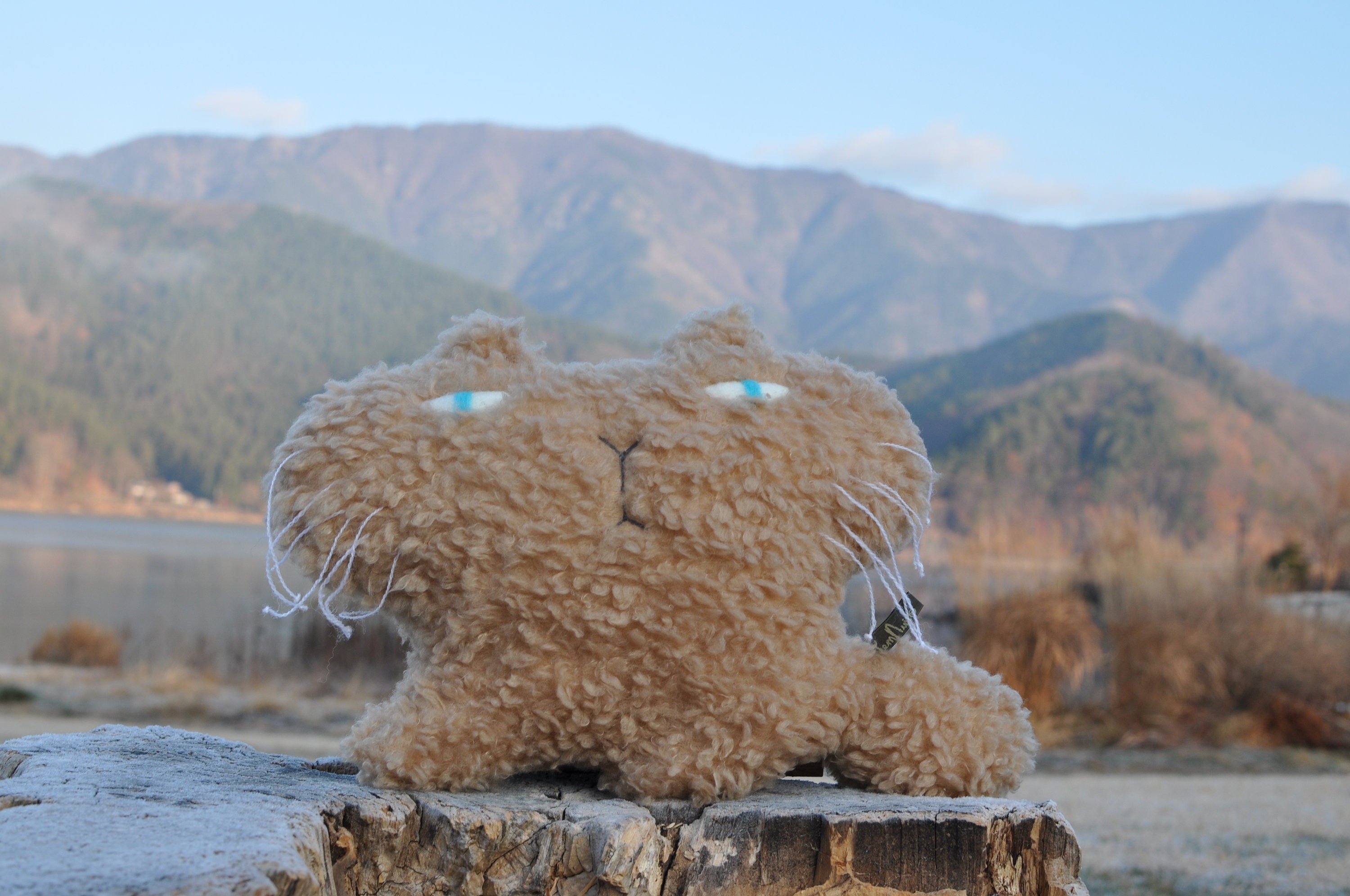 Kinako Cat – Fluffy,soft,beige,blue Eye,all Made by Hand Sewing, Hand ...