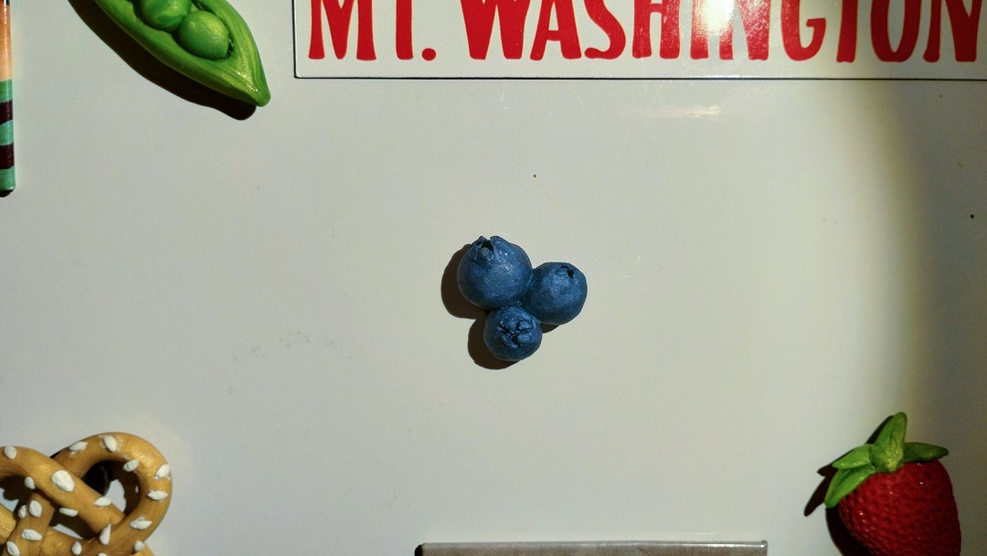 Blueberry Magnet - Etsy