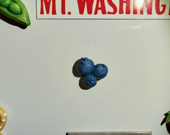 Blueberry Fruit Magnet 1 per Order - Etsy