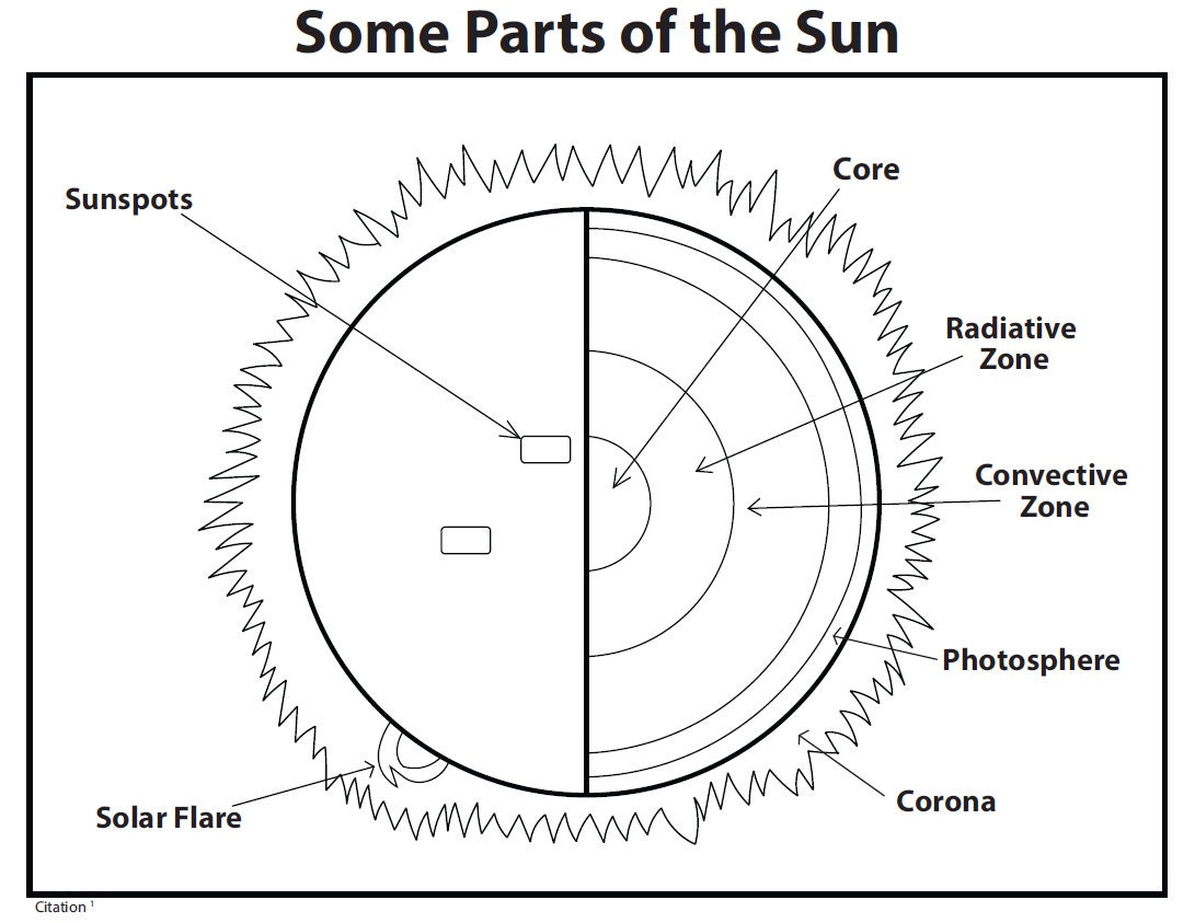 CC Cycle 2 Science | How to Draw Science Memory Work Ebook | Classical ...