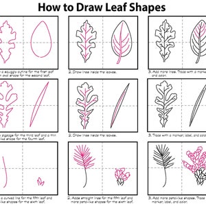 CC Cycle 1 How to Draw Science Memory Work | Classical Homeschool | CC ...