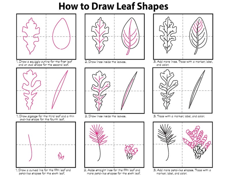 CC Cycle 1 How to Draw Science Memory Work | Classical Homeschool | CC ...