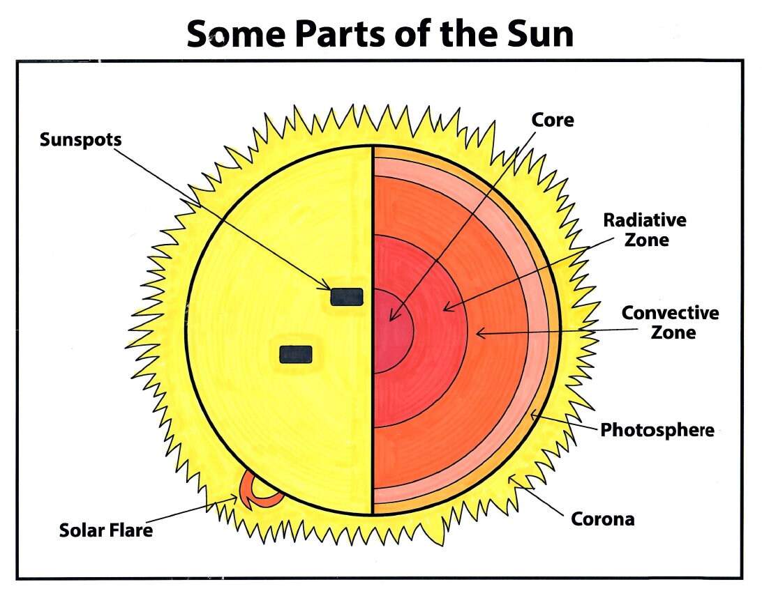 CC Cycle 2 Science | How to Draw Science Memory Work Ebook | Classical ...