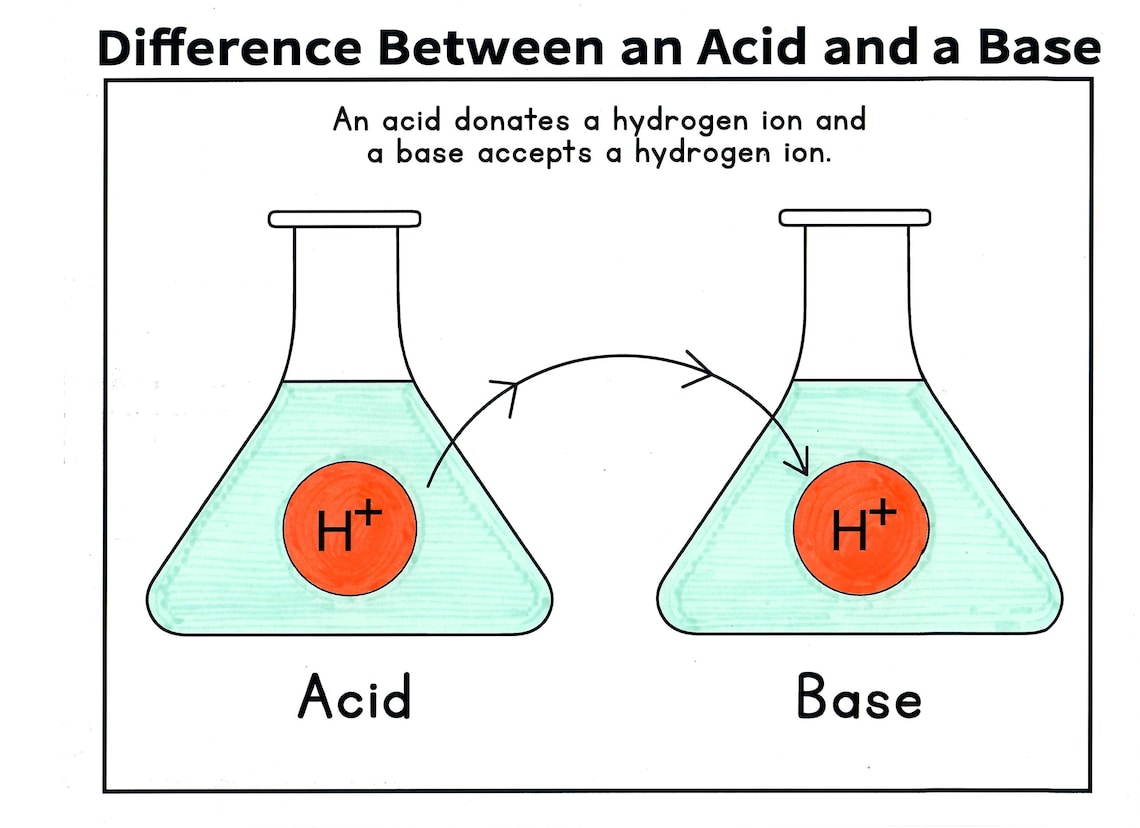CC Cycle 3 Science | How to Draw Science Memory Work Ebook | Classical ...