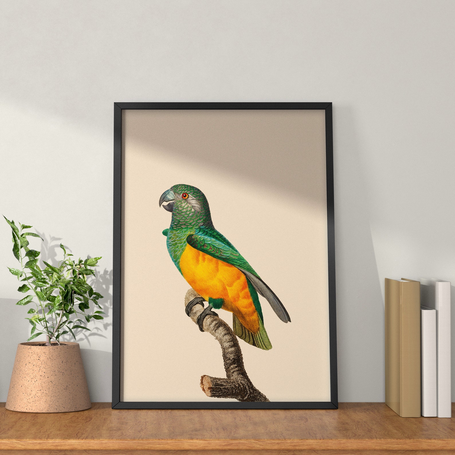 Vintage Retro Parrot Print, Parrot Print, Nature Antique Print, Nature ...