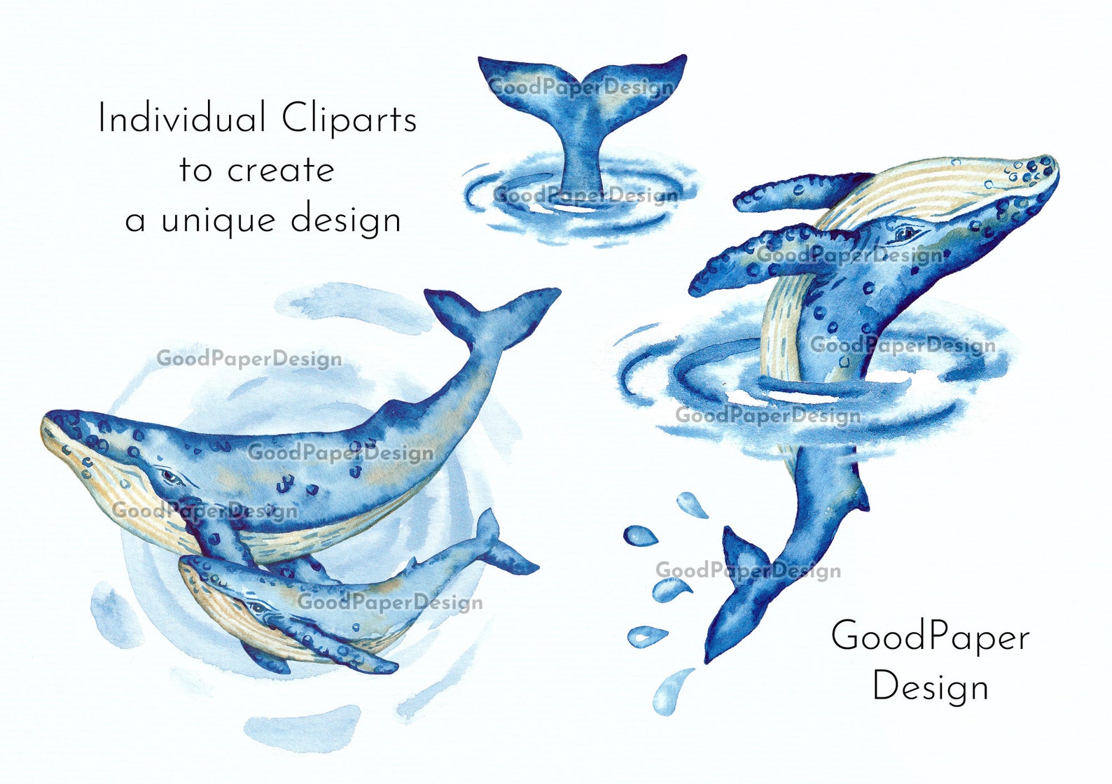 Watercolor Whales Clipart, Whale Family, Dad, Mom, Baby Whale, Whale ...