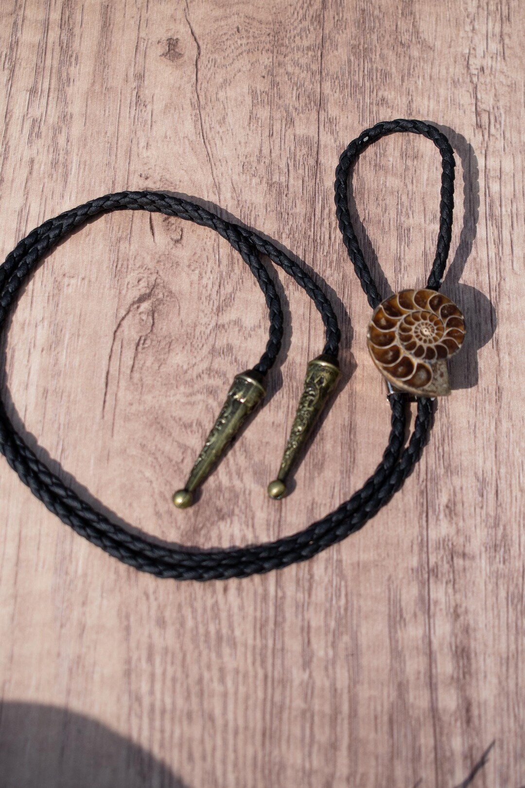 Nautilus Shell Bolo Tie - Etsy