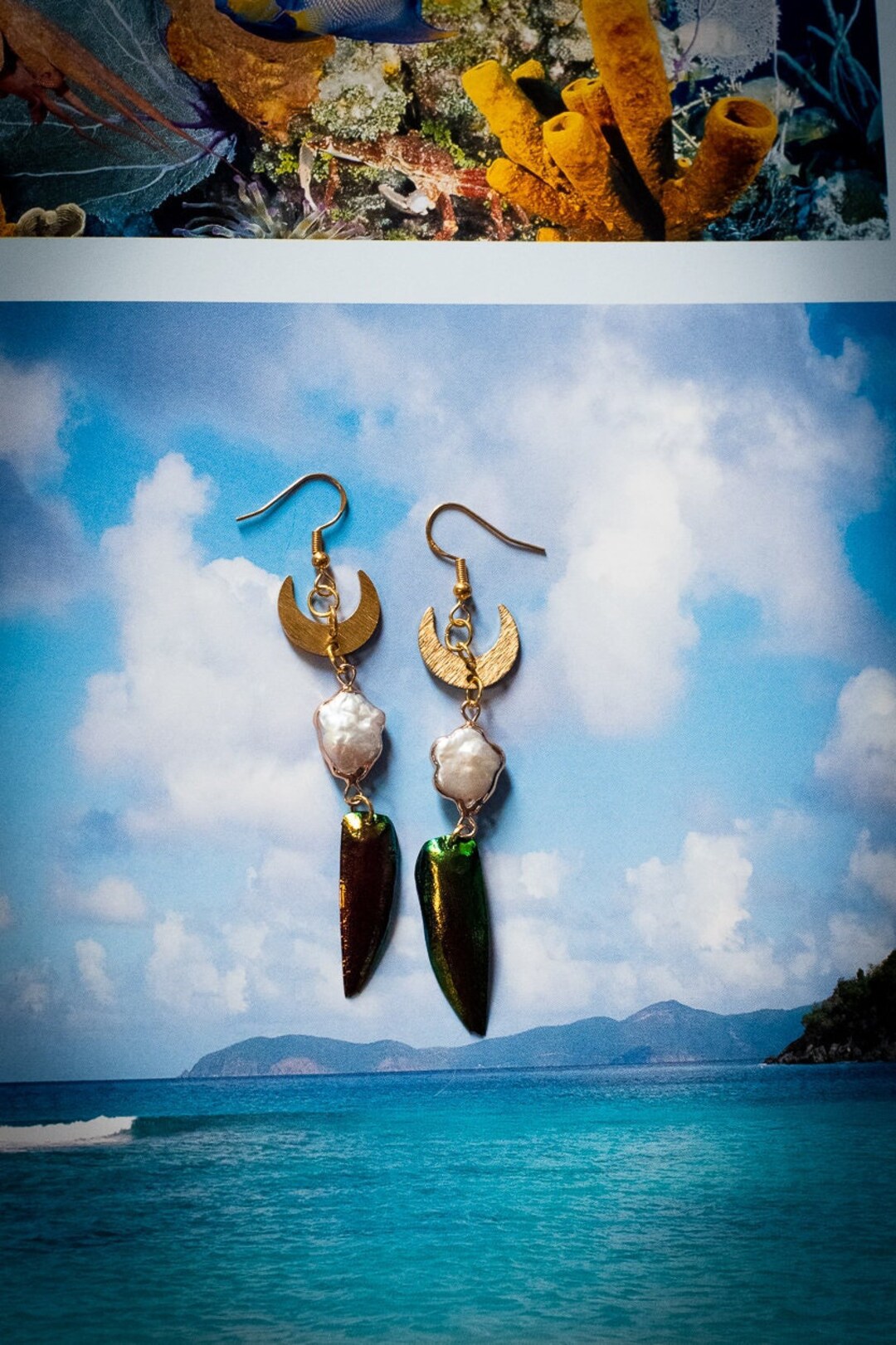 Real Mother of Pearl and Elytra Beetle Wing Statement Dangle - Etsy