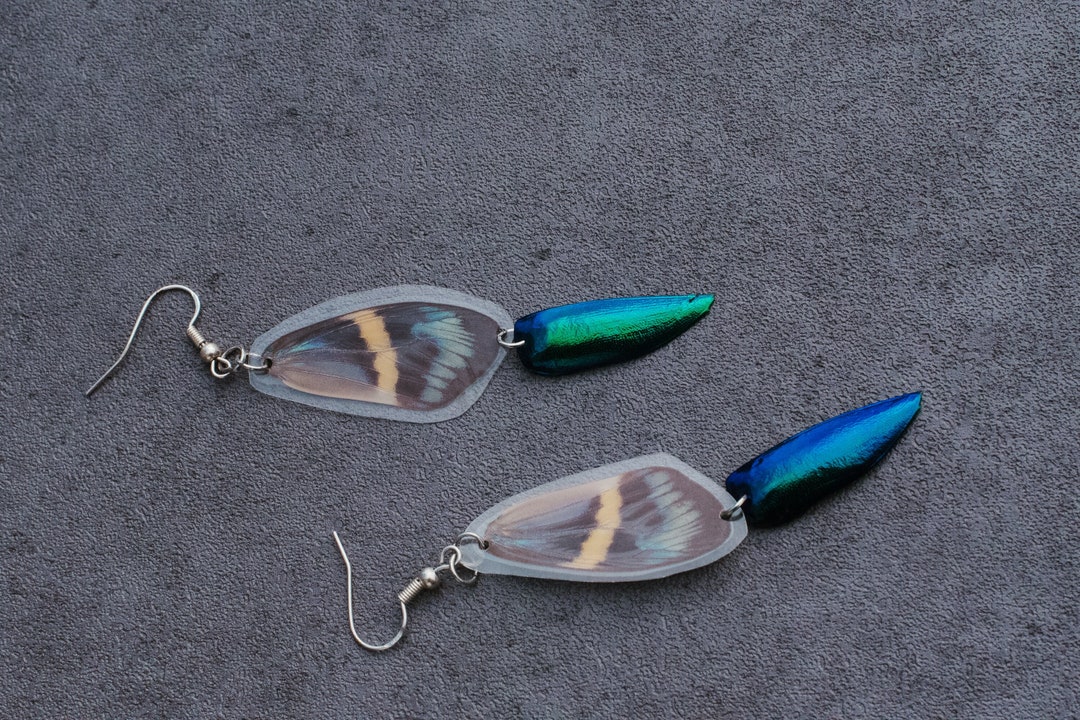 Real Elytra Beetle and Butterfly Wing Handmade Earrings Hypoallergenic ...