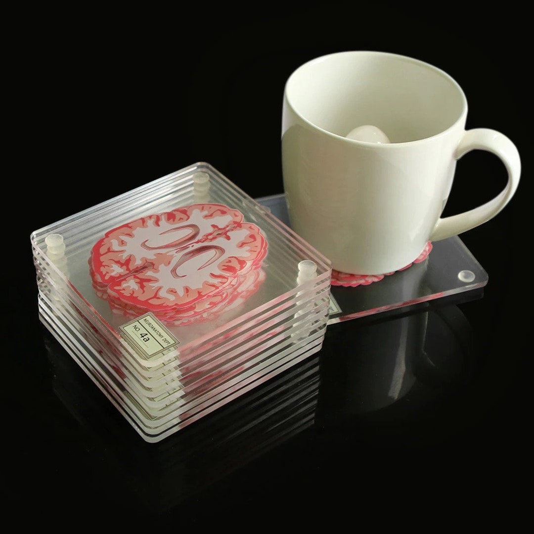 MD-11149 Brain Specimen Coasters Set 3D Organ Brain Artwork Brain ...