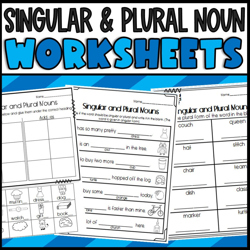 Singular and Plural Noun Worksheets: First and Second Grade - Etsy