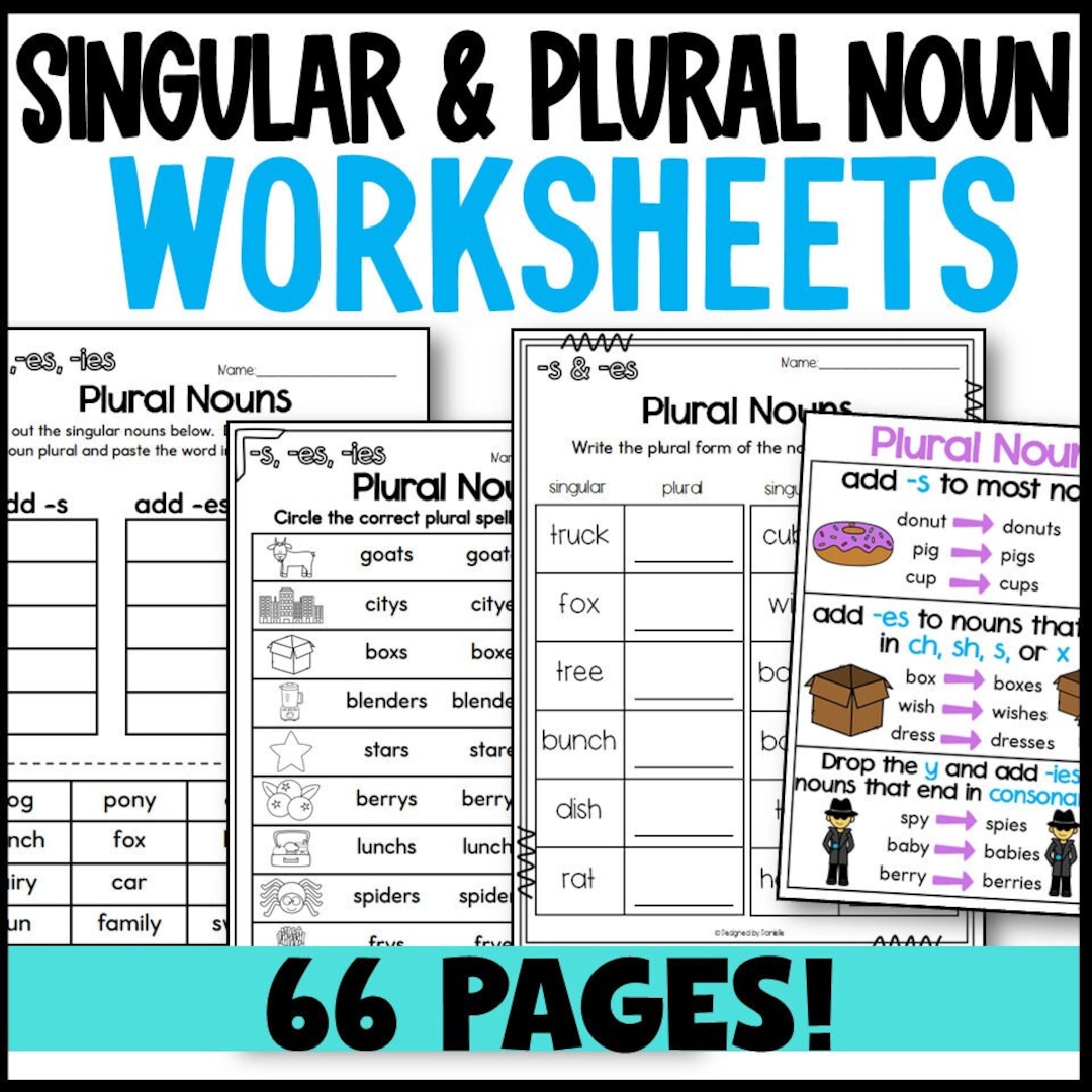 Singular and Plural Noun Worksheets: First and Second Grade Worksheets ...