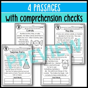 Final Y Reading Passages: Words Ending With Y With Comprehension ...