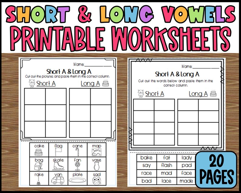 Long and Short Vowel Sorts A E I O and U: First Grade - Etsy