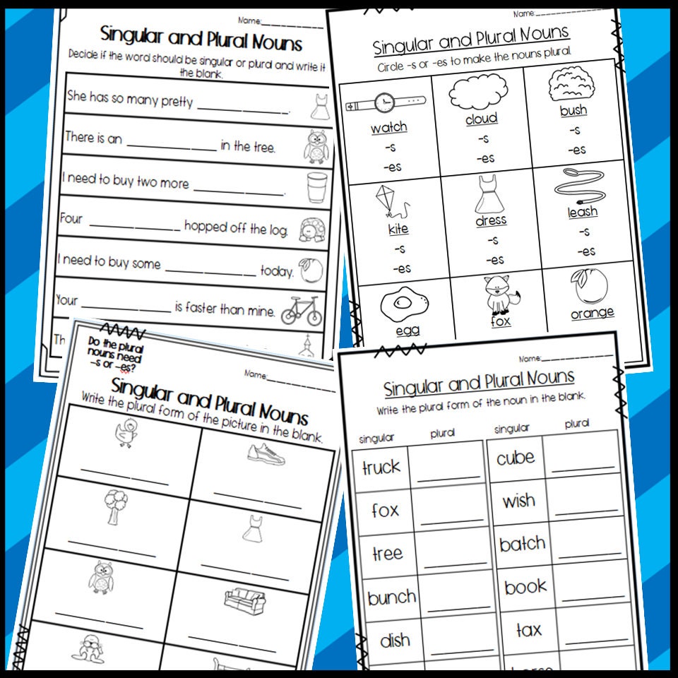 Singular and Plural Noun Worksheets: First and Second Grade - Etsy