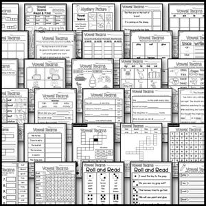 Vowel Teams Worksheets: Double Vowels Picture & Word Sorts Cloze ...