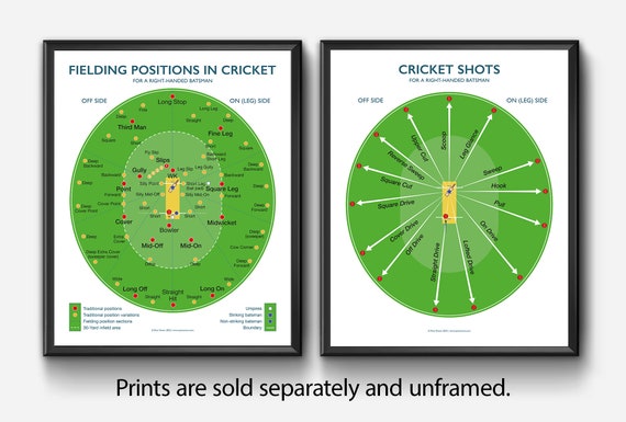 Cricket Field Placings Diagram