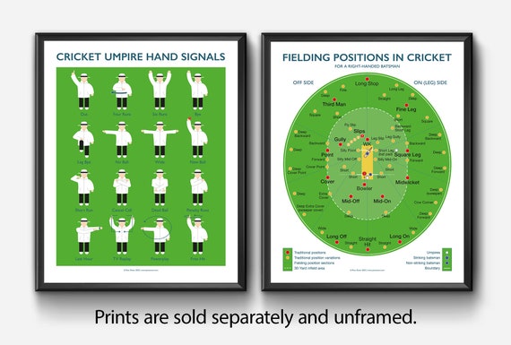 Cricket Umpire Signals Australia