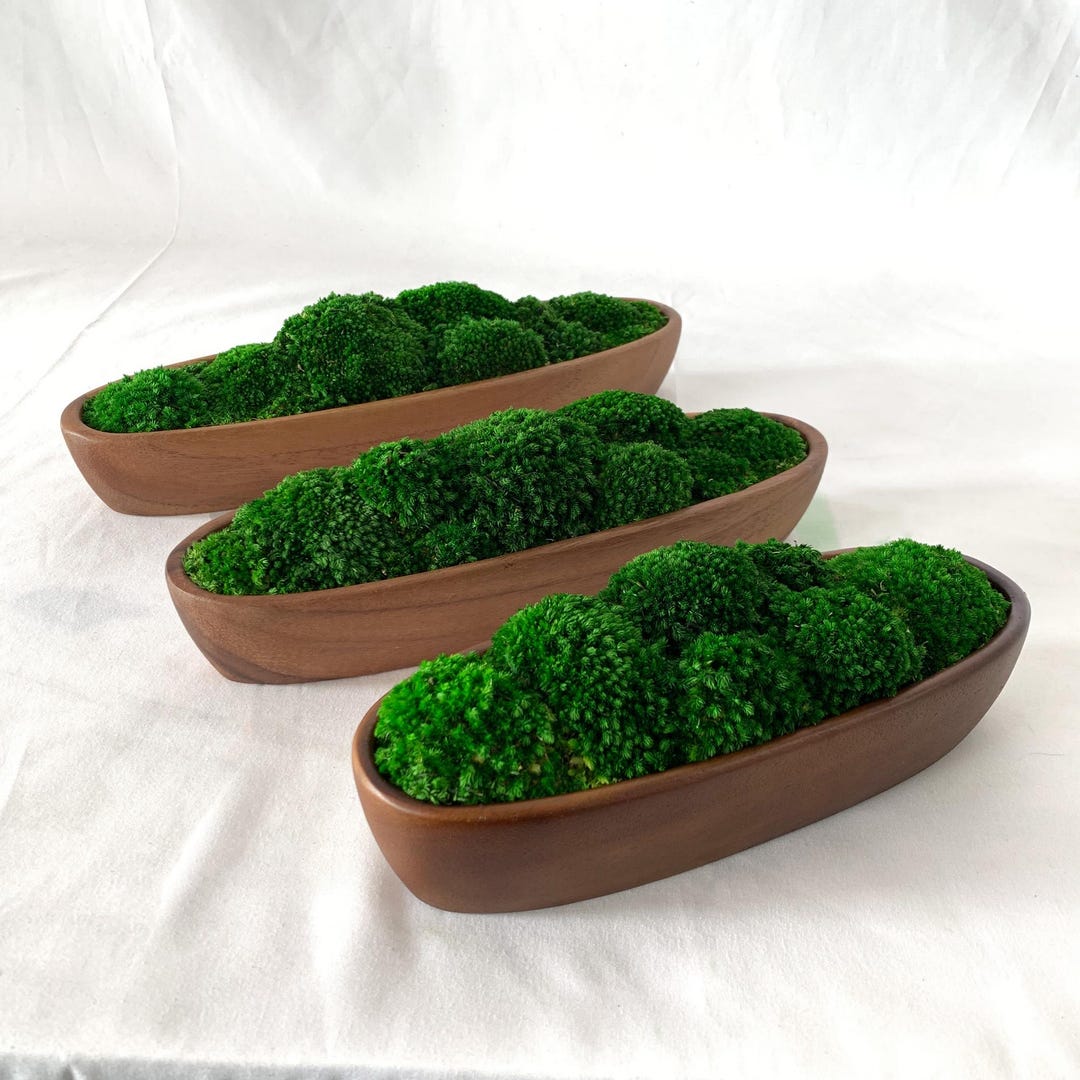 Long Walnut Wood Moss Bowl - Natural Zen Centerpiece | 8-12" Decor Bowl ...