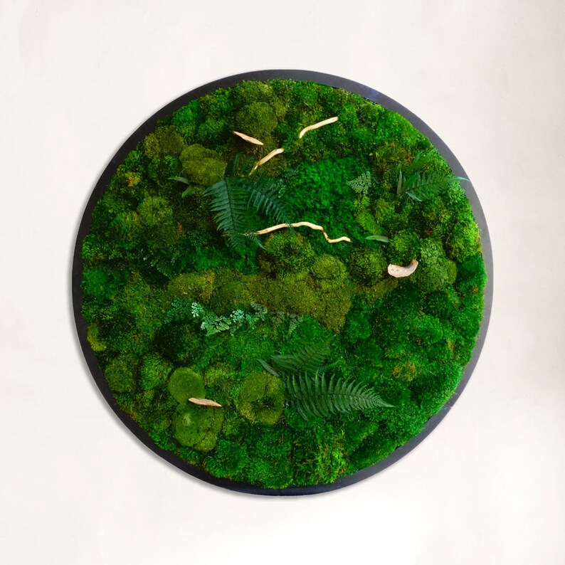 Circular Wooden Framed Organic Moss Wall Art With Mushrooms - Etsy