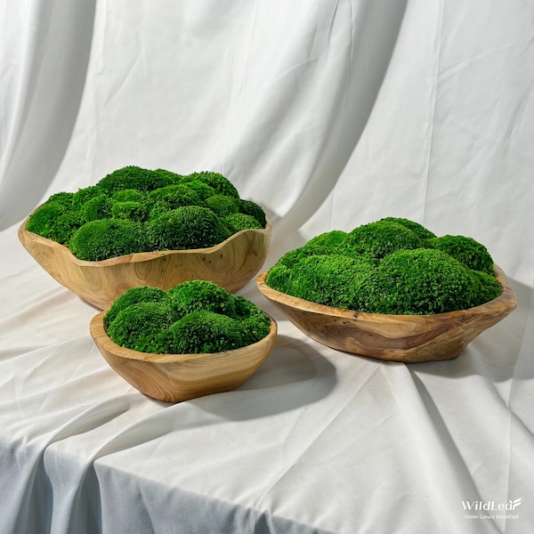 Moss Table Decor - Etsy