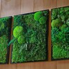 Moss Tile Reindeer Moss Wall Green Wall Panel Preserved Moss Free ...