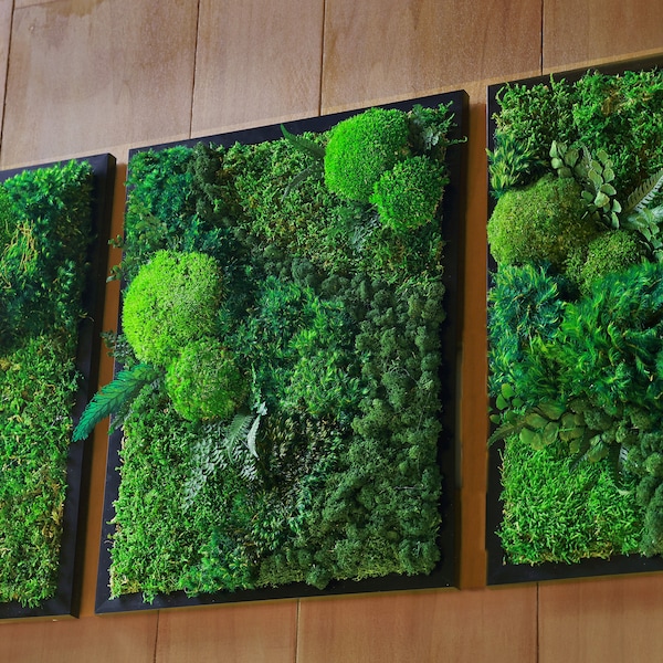 Moss Art - Etsy