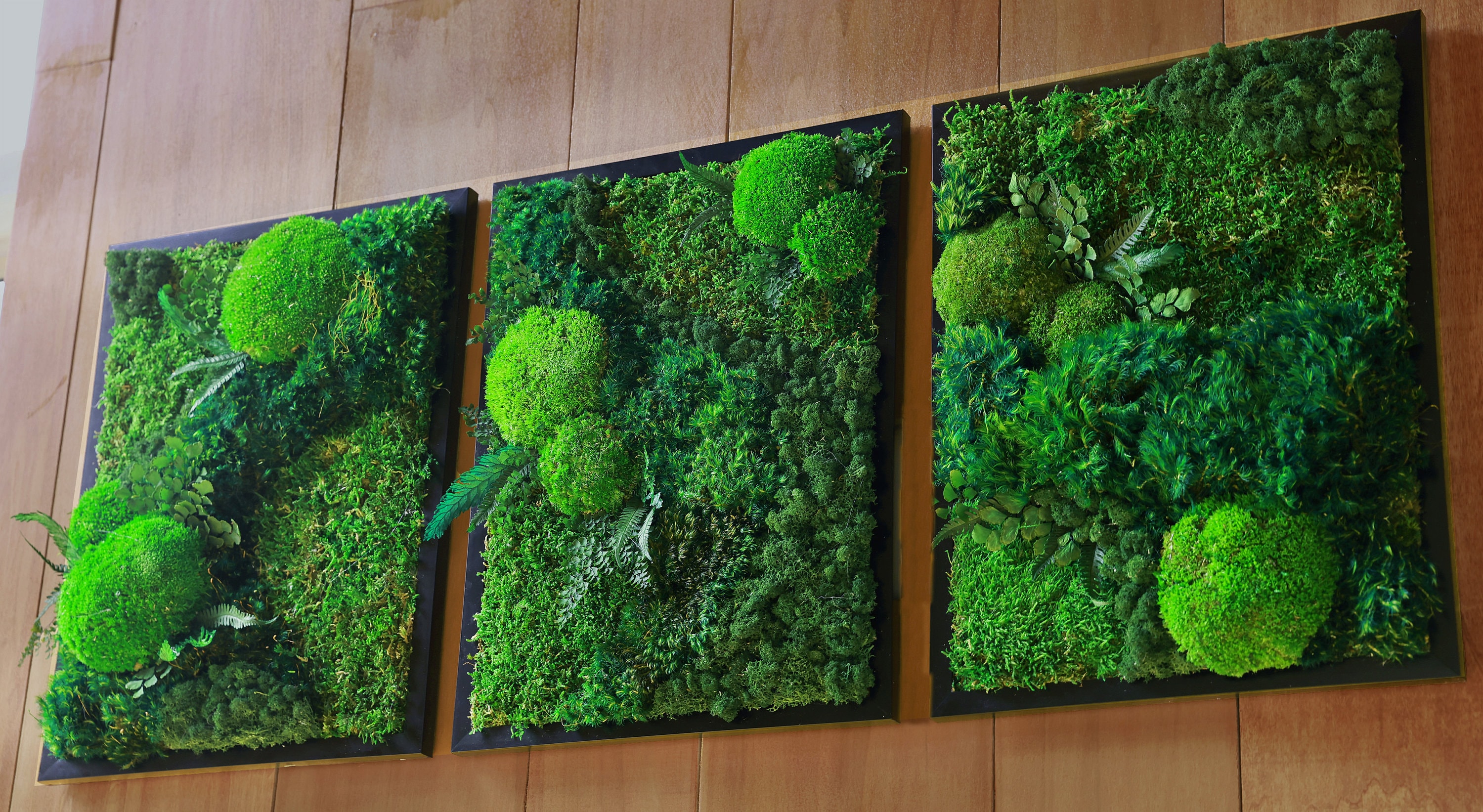 Forest Moss Art Framed Moss Wall Art Triptych Zen-like - Etsy