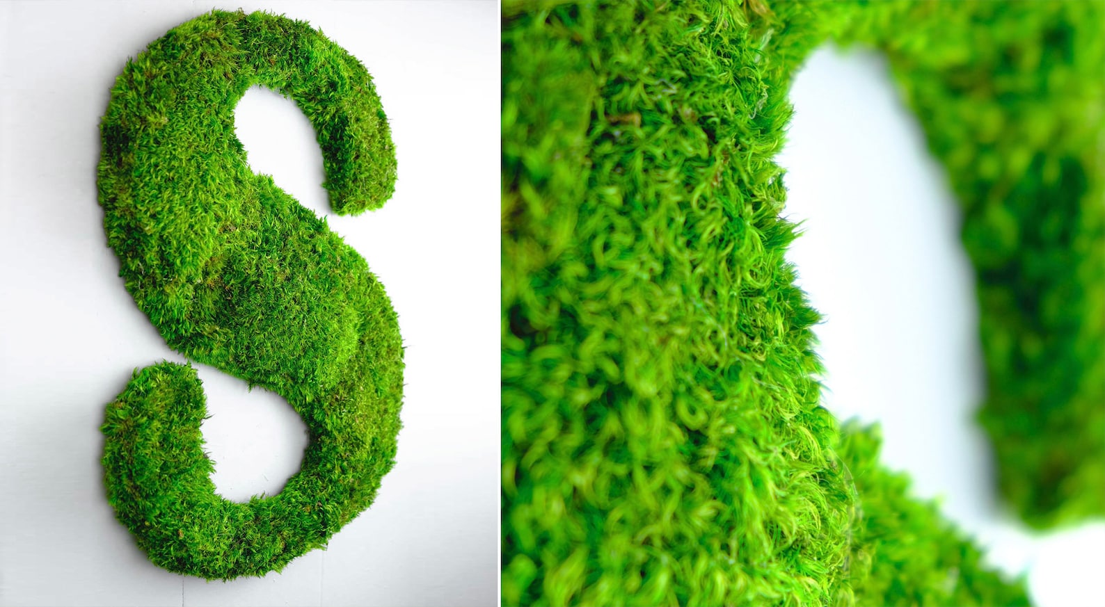 Custom Moss Letter Sign: Free Standing Moss Art - Etsy