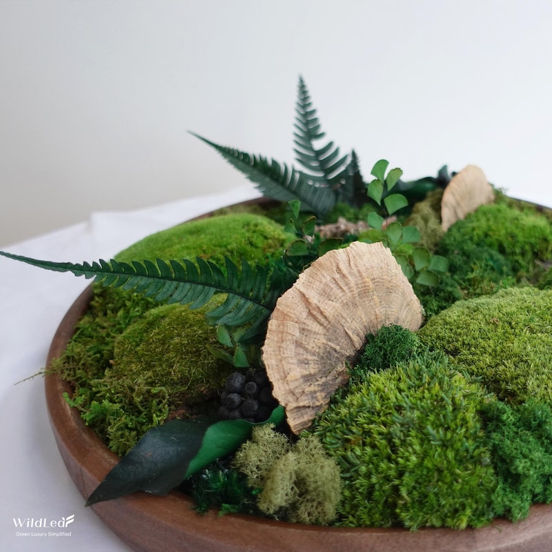 Moss Table Decor - Etsy