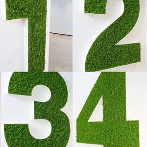 Custom Moss Letter Sign: Free Standing Moss Art - Etsy